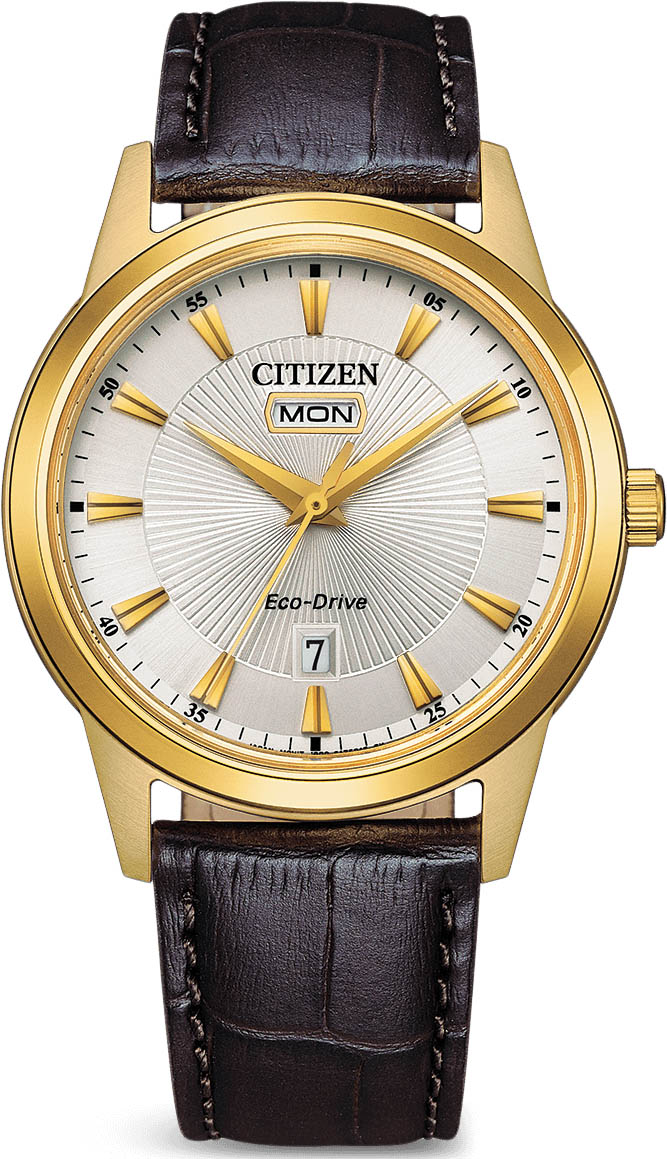 Citizen Aw0102-13ae Erkek Kol Saati | Gündüz Saat